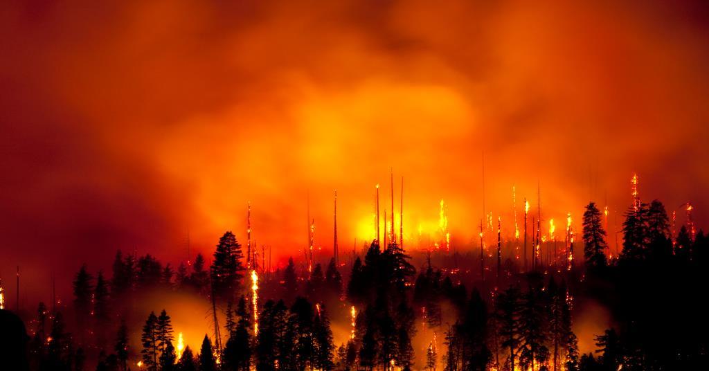 The California fires are terrifying but when the world seems to be ...