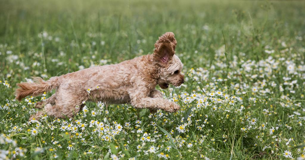 Letter to the Next Generation - On freedom | Article | Woman Alive