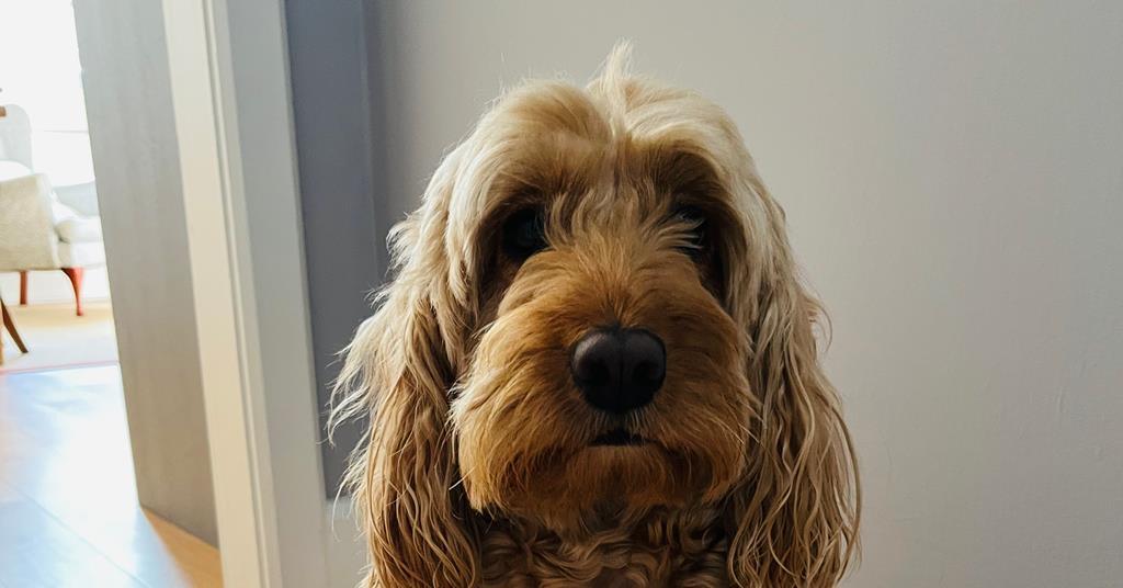 Letter to the Next Generation - On freedom | Article | Woman Alive