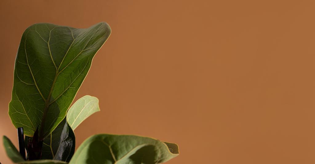 Who are you becoming? | Article | Woman Alive
