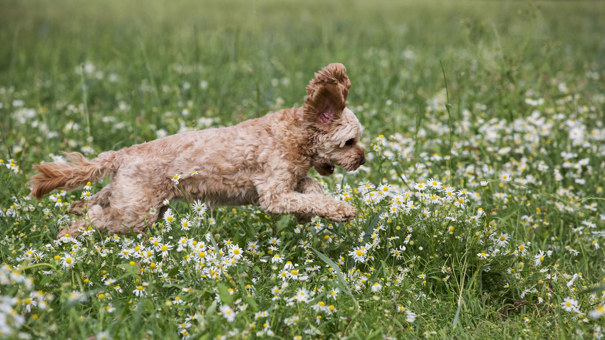 Letter to the Next Generation - On freedom | Article | Woman Alive